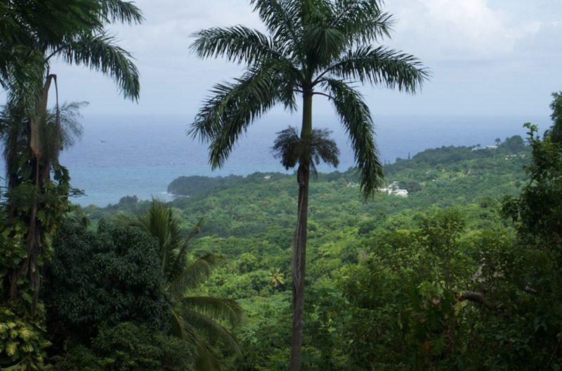 Cocosan Villa - Visit Jamaica Villas