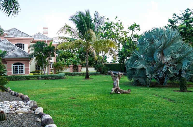 Villa Dora Mae - Visit Jamaica Villas